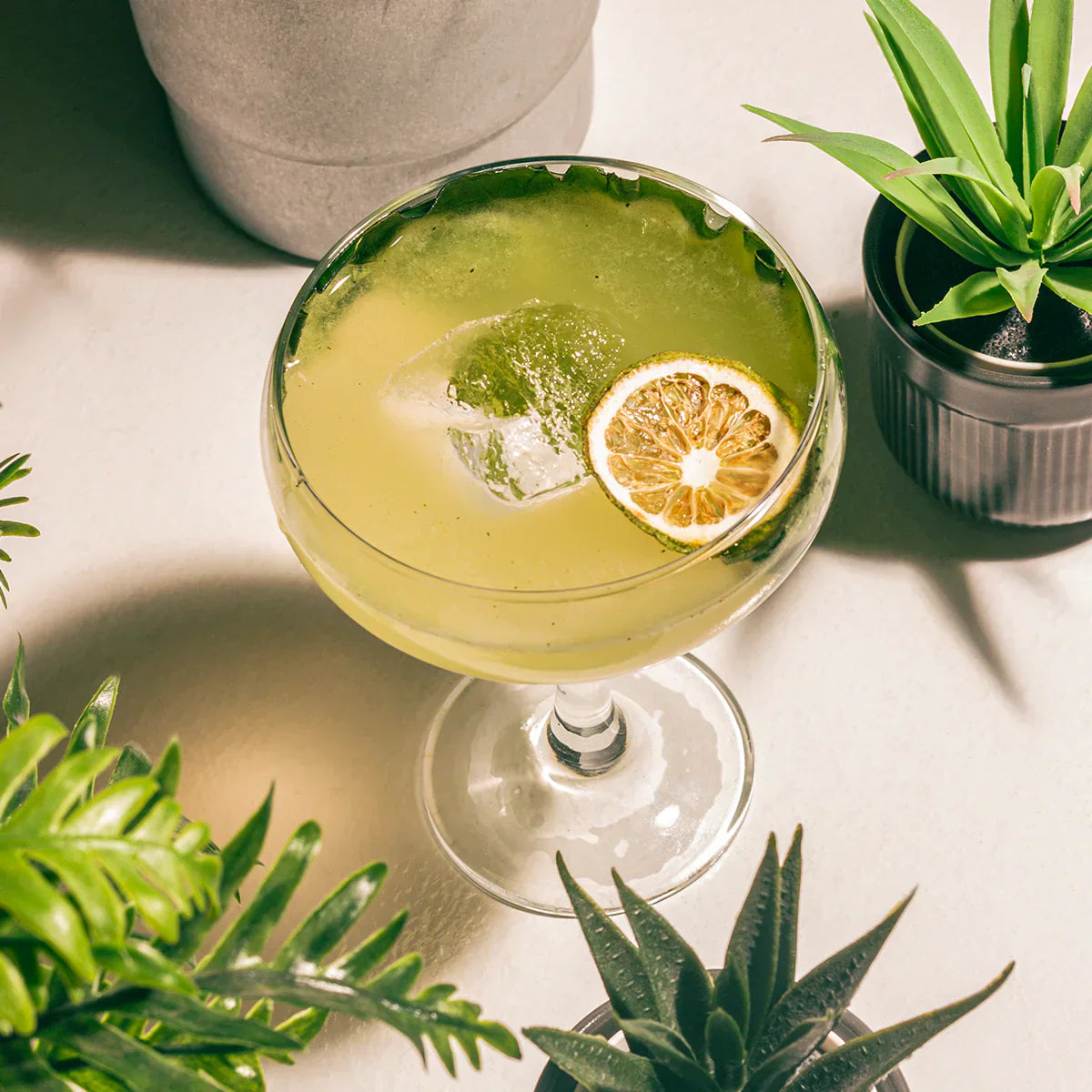 THE OAXACAN – TIENDA MITRE US