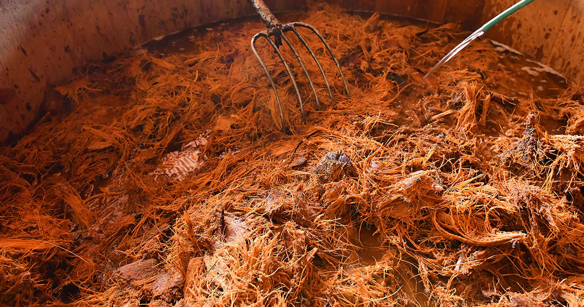 FERMENTATION – TIENDA MITRE US