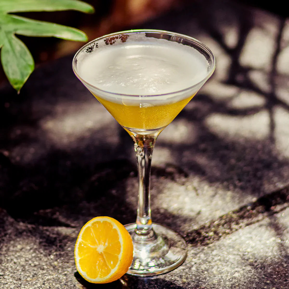 MEZCAL SOUR – TIENDA MITRE US