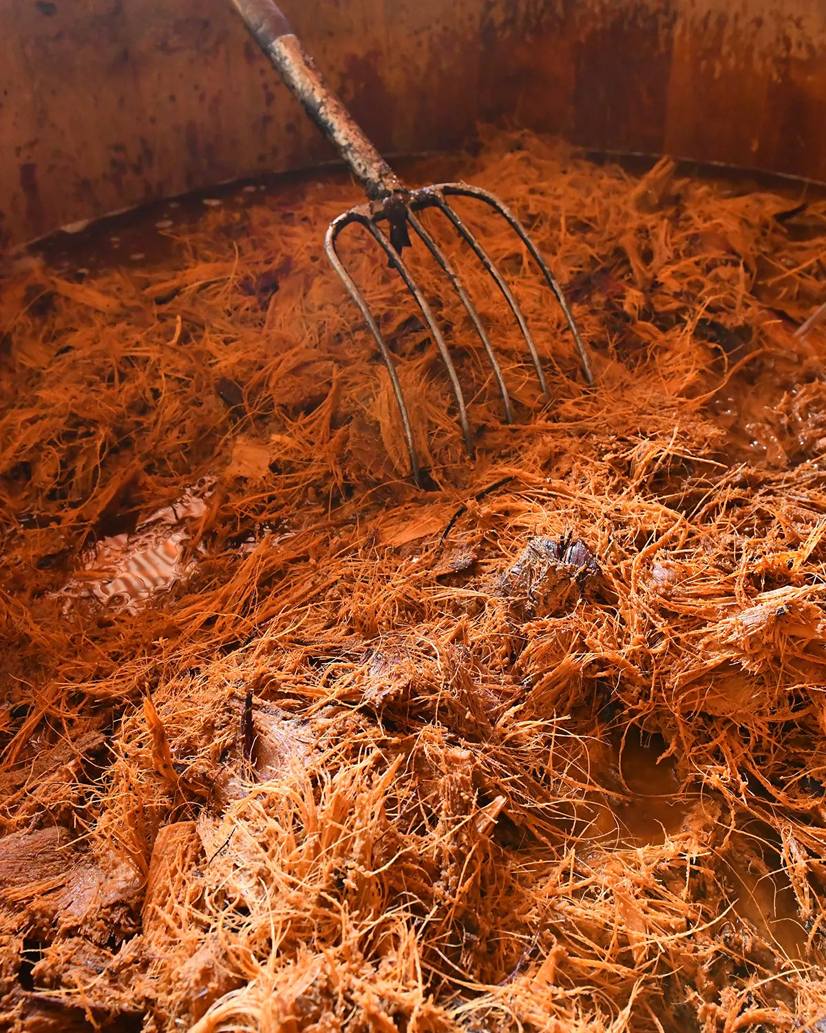 Mezcal Fermentation Process Explained – US MEZCAL MITRE