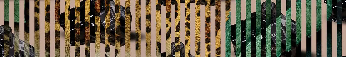 Premium Collection – TIENDA MITRE US